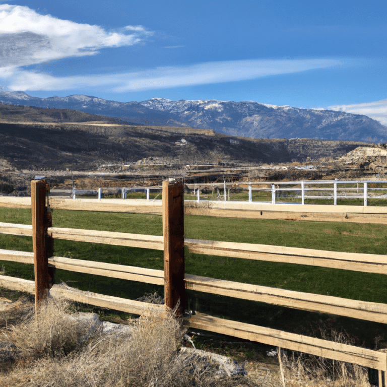 Fencing Maintenance Calendar: A Seasonal Guide to Preserving Your ...